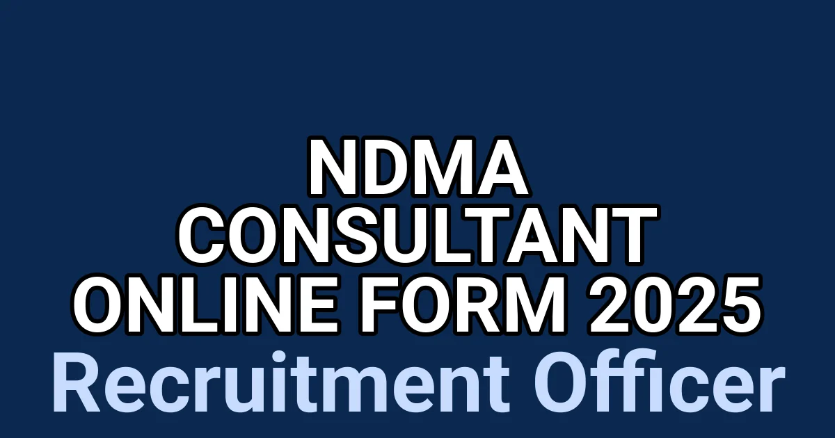 NDMA Consultant Online Form 2025